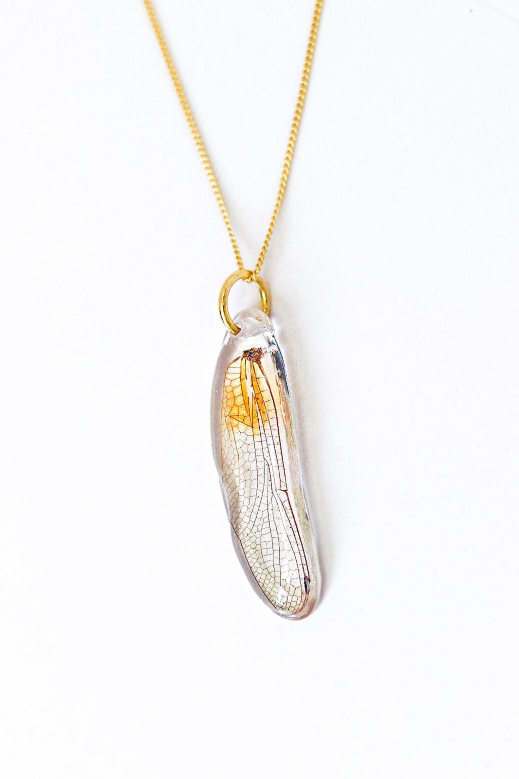 Real Mushroom Jewelry , One-of-a-kind & handcrafted by Mosh Jewelry