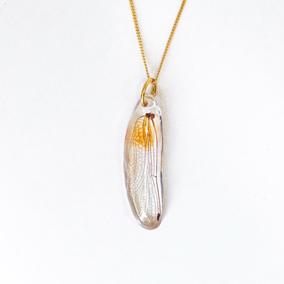 Real Mushroom Jewelry , One-of-a-kind & handcrafted by Mosh Jewelry